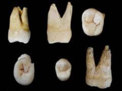 Hunan Province: Latest News, Photos, Videos on Hunan Province - NDTV.COM