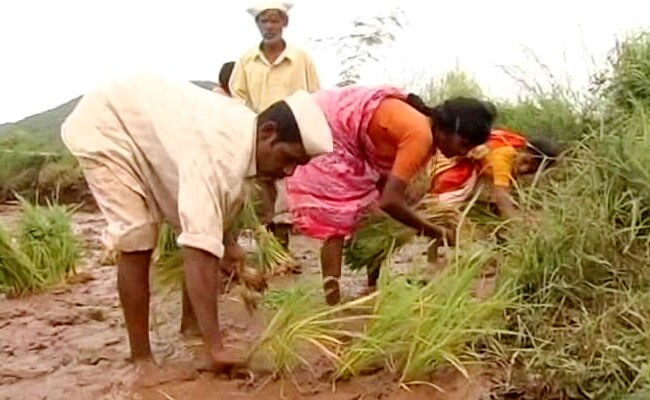 As Diwali Nears, Maharashtra Farmers Still Wait For Government Promise