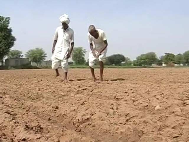Fear of Drought Makes Distressed Farmers Seek Permission to Die