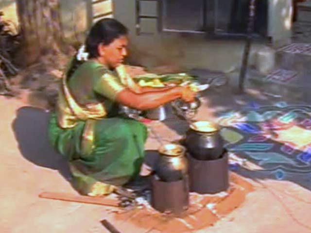 Dull Pongal Celebrations In Tamil Nadu Amid Hold On Jallikattu