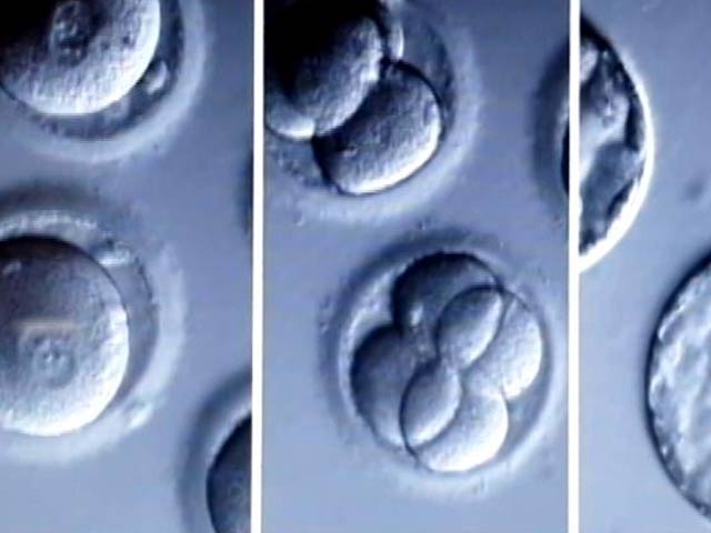 Designer Baby Next? US Scientists Modify Genes Of Human Embryo